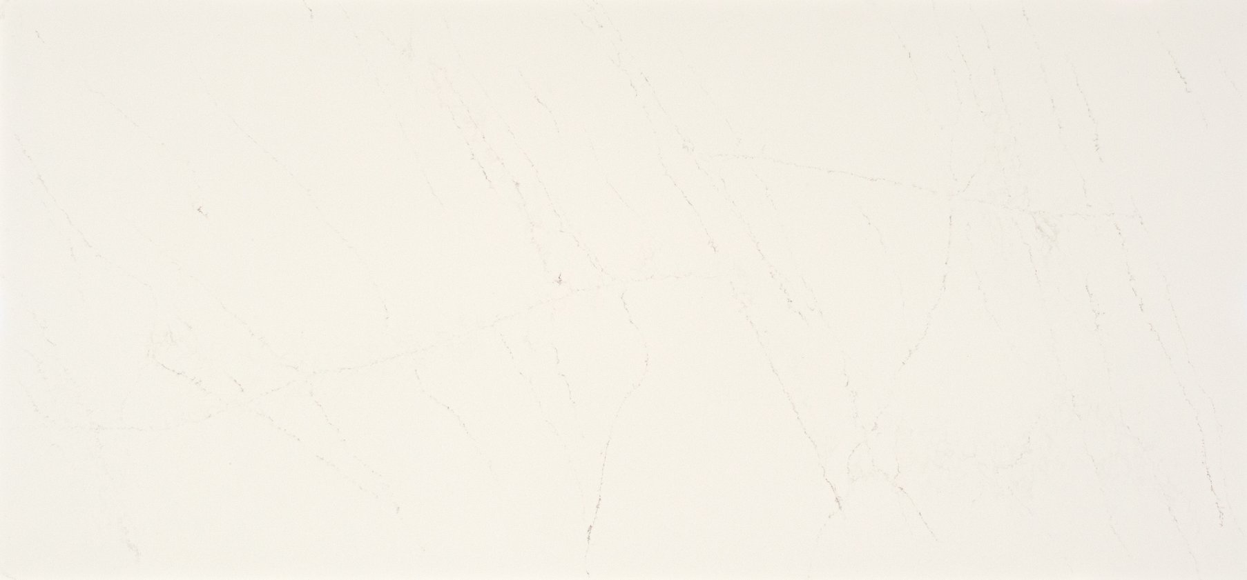 Delicate Elegance: Spotlight on Aterra Blanca